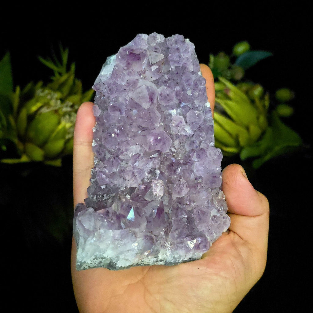 Amethyst Cluster - Crystal Visions Store